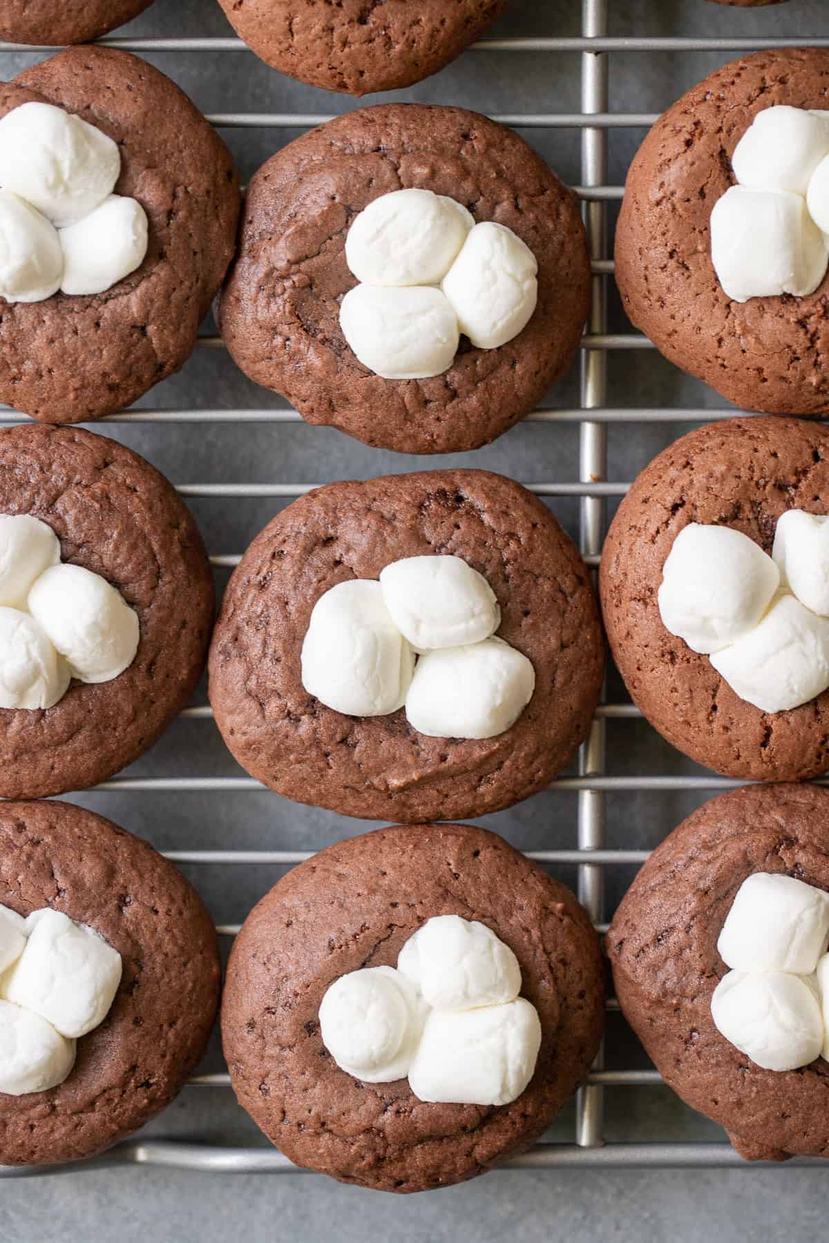 Chewy Hot Chocolate Cookies | Tasty Treats and Eats