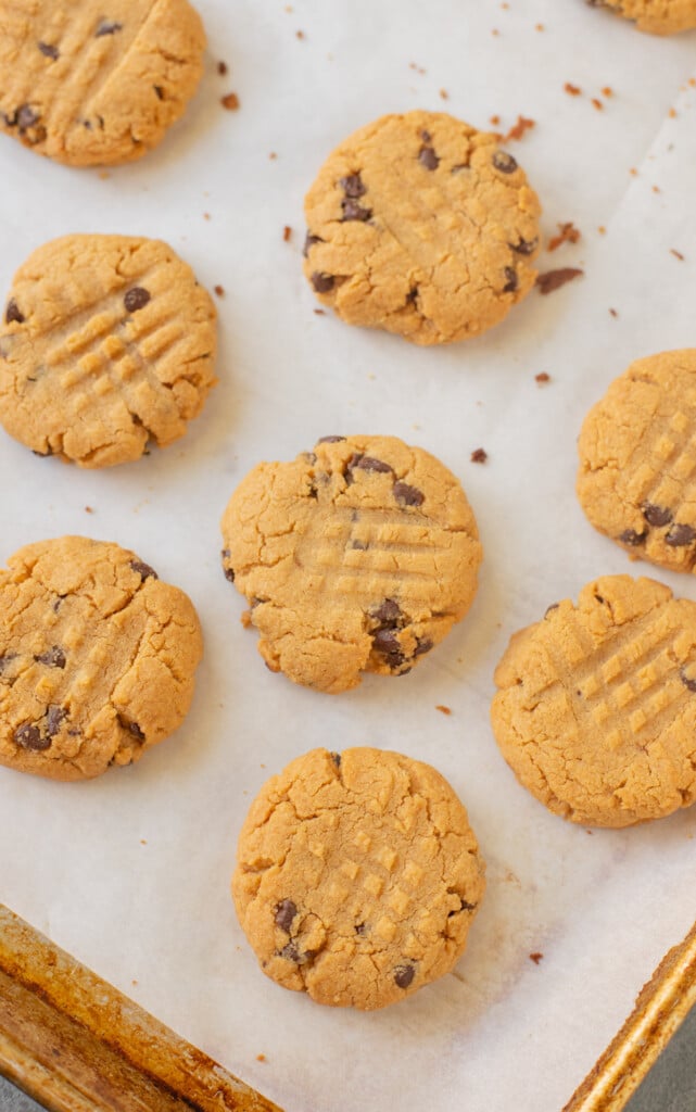 4 Ingredient Peanut Butter Chocolate Chip Cookies - Tasty Treats and Eats