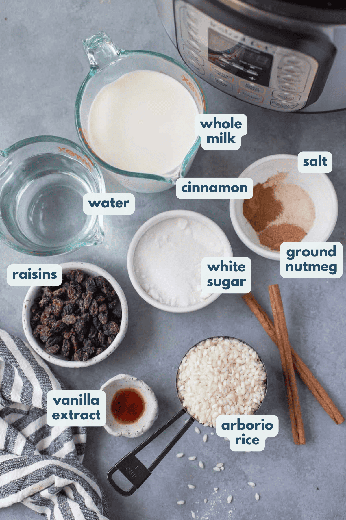 Instant Pot Rice Pudding - Tasty Treats and Eats