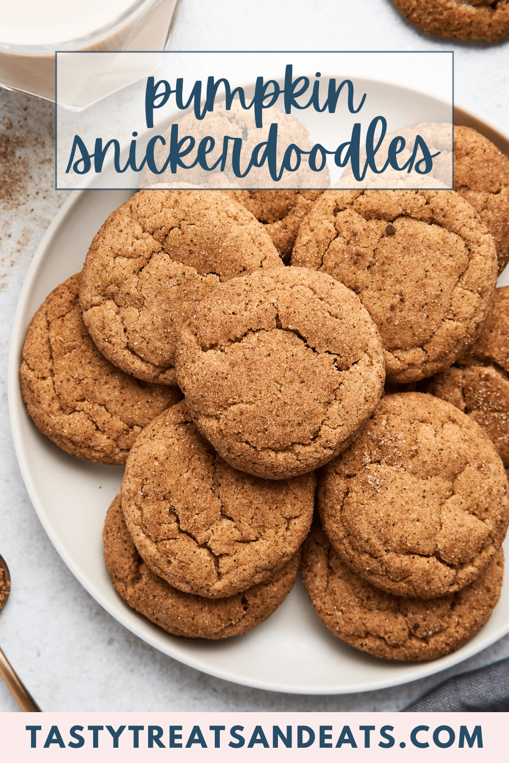 Recipe for Pumpkin Snickerdoodles - Tasty Treats and Eats
